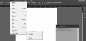 How to Insert Variable Data Fields in InDesign for Printing